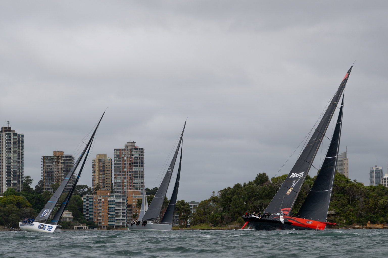 Audi Centre Sydney Blue Water Pointscore – Bird Island Race Live ...