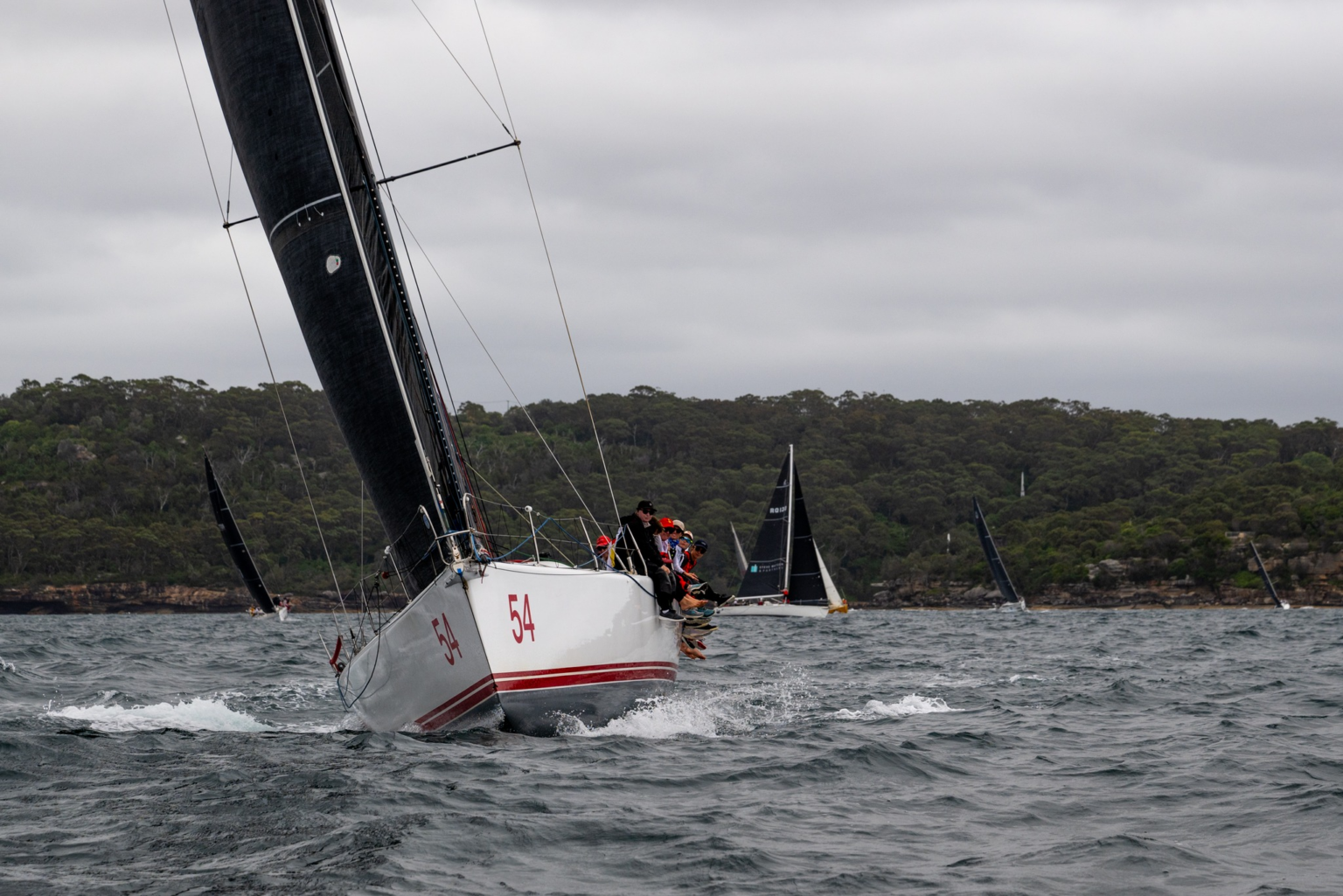 Audi Centre Sydney Blue Water Pointscore – Bird Island Race Live ...
